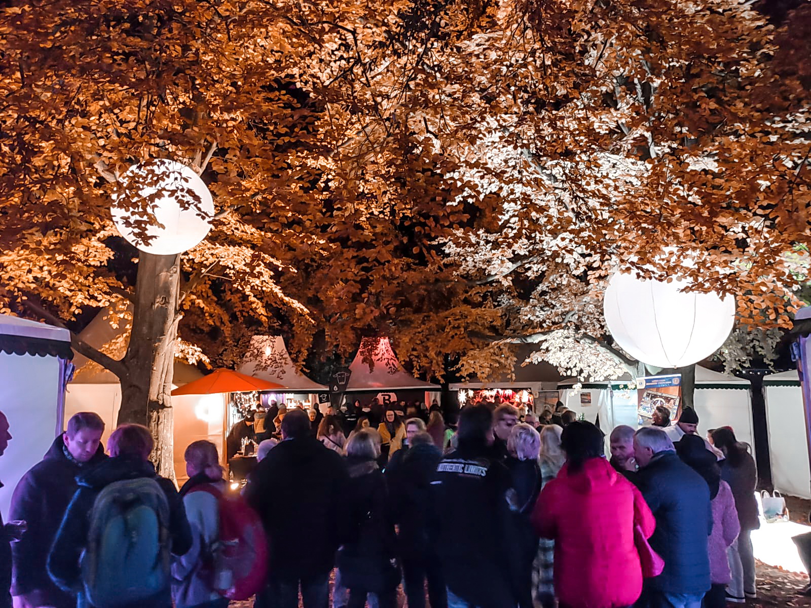 Freikarten - 15 JAHRE: WINTERTRÄUME AUF DEM GRAF VON FABER-CASTELL ...